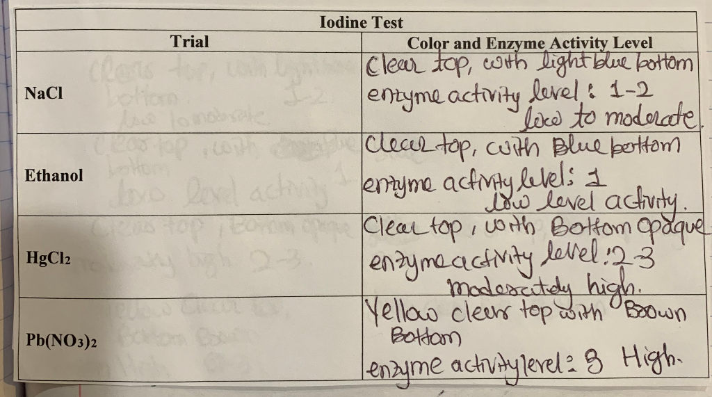 Solved Iodine Test Trial Color and Enzyme Activity Level | Chegg.com