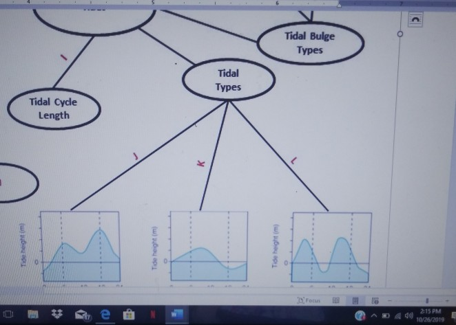 Solved Tidal Bulge Types Tidal Types Tidal Cycle Length Tide | Chegg.com