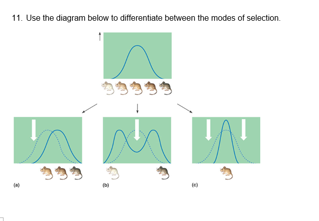 Solved 11. Use the diagram below to differentiate between | Chegg.com