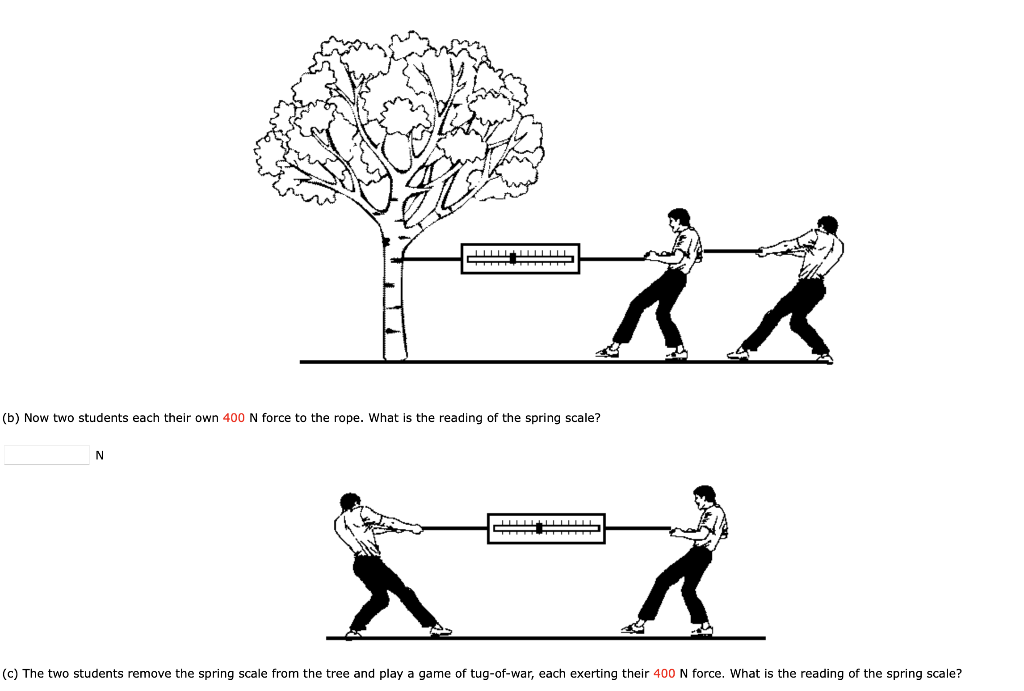 Solved A (a) A spring scale is attached by rope at one end | Chegg.com