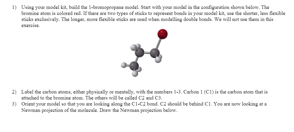 Solved 1) Using your model kit, build the 1-bromopropane | Chegg.com