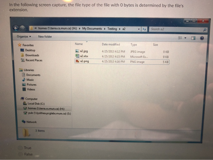 Solved In the following screen capture, the file type of the | Chegg.com