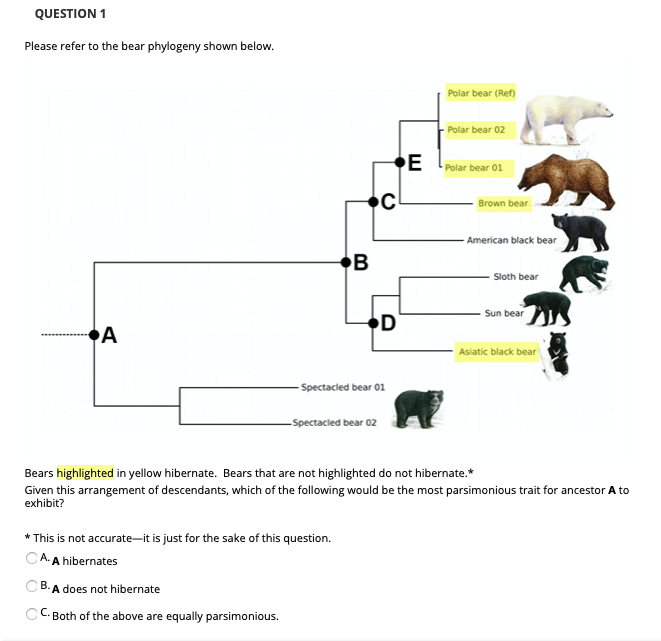 Solved QUESTION 1 Please refer to the bear phylogeny shown | Chegg.com