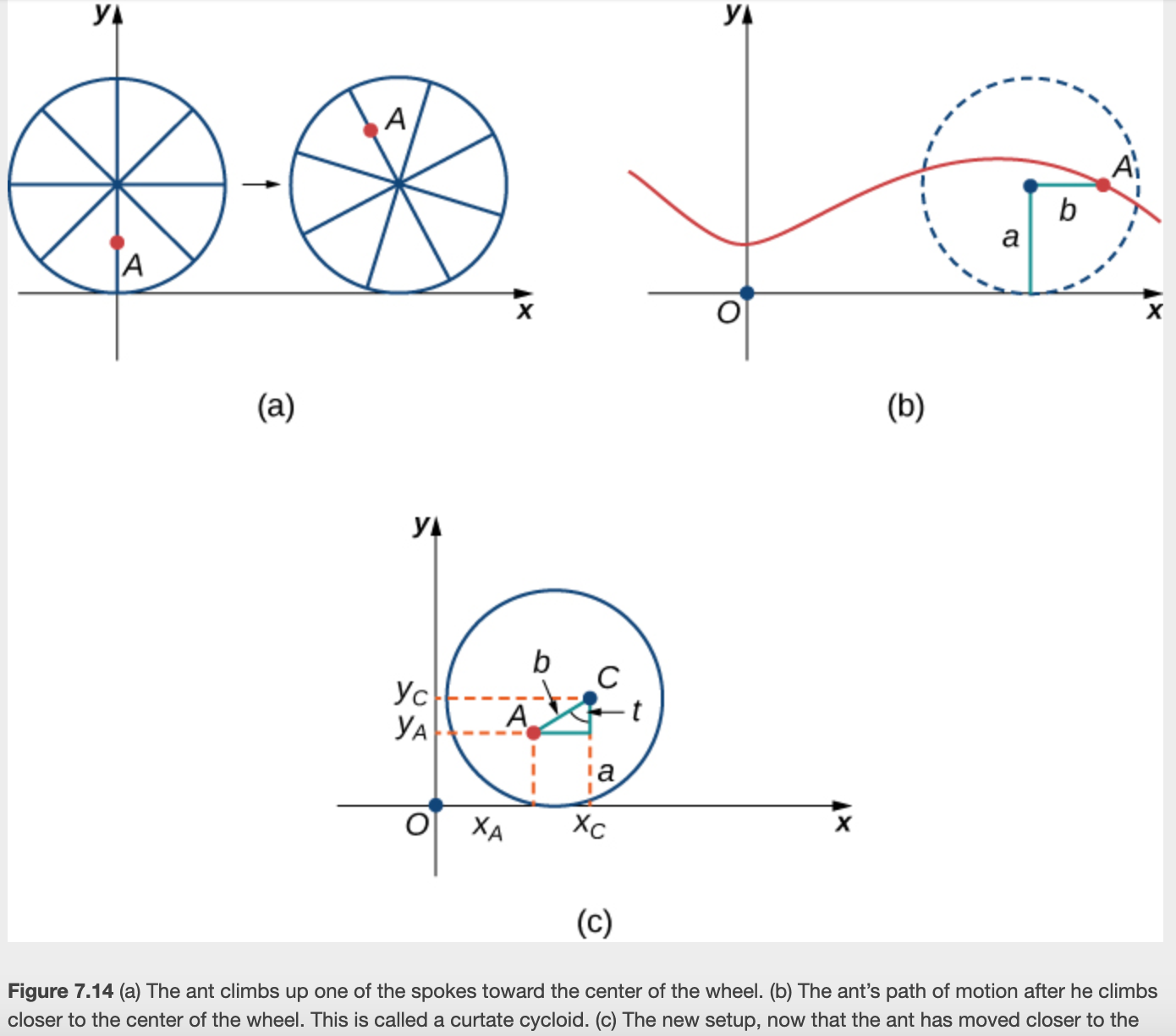 Travels with My Ant: The Curtate and Prolate Cycloids | Chegg.com
