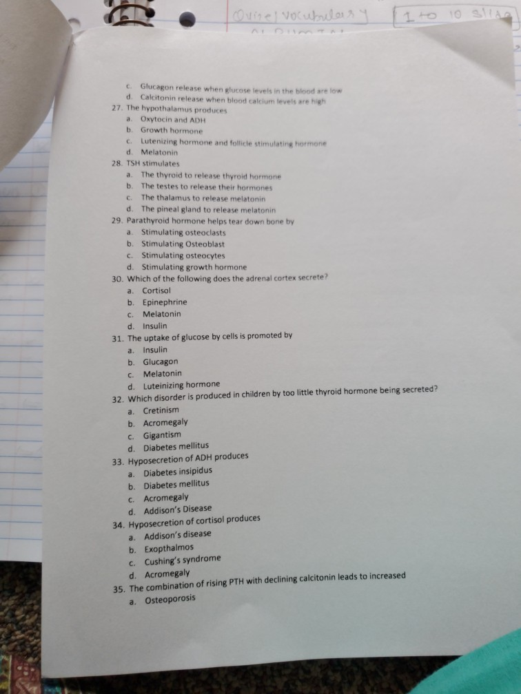 Solved THE ENDOCRINE SYSTEM MATCHING Match the key terms in | Chegg.com