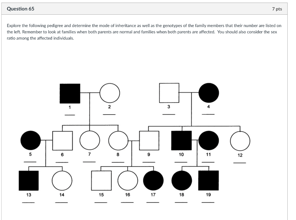 Solved [Choose ] Аа XBY XbXb Autosomal Dominant Inheritance | Chegg.com
