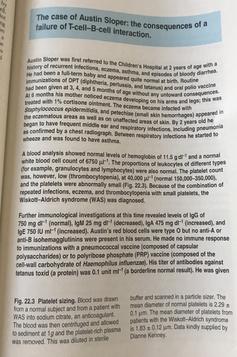 Solved The case of Austin Sloper: the consequences o failure | Chegg.com