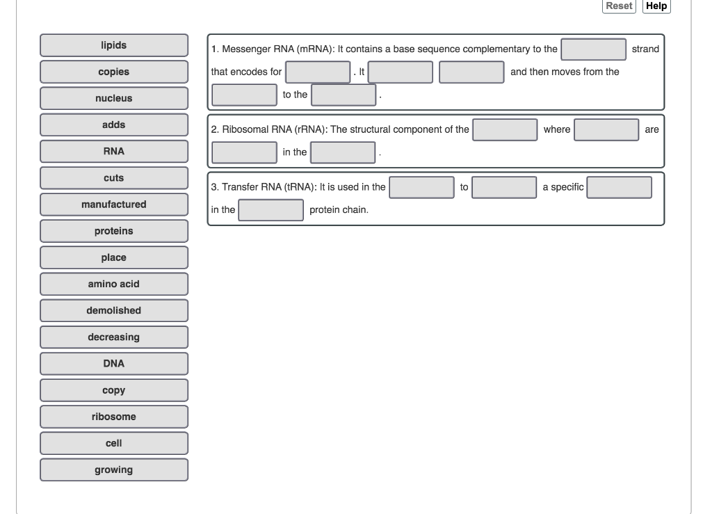 Reset Help lipids 1. Messenger RNA (mRNA): It | Chegg.com