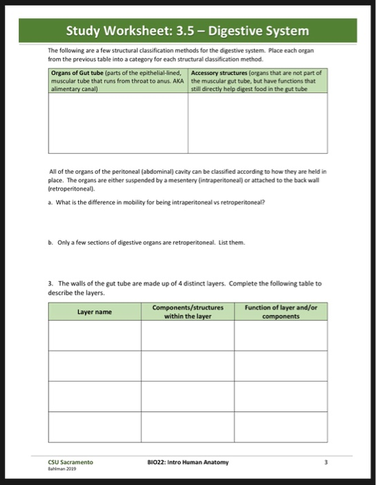 Solved Study Worksheet: 3.5-Digestive System The following | Chegg.com