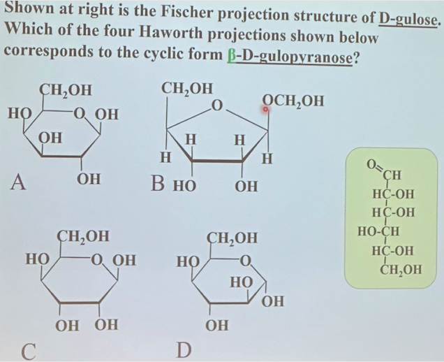 Solved Shown At Right Is The Fischer Projection Structure Of
