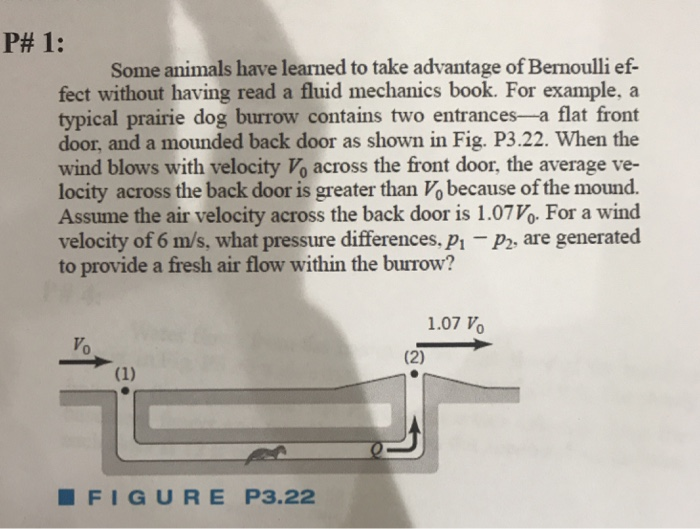 Solved P# 1: Some animals have learned to take advantage of | Chegg.com