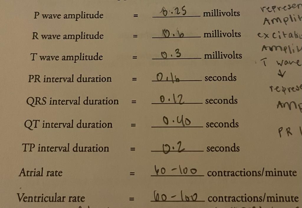 P wave amplitude 6.25 millivolts = represen Amplit R | Chegg.com