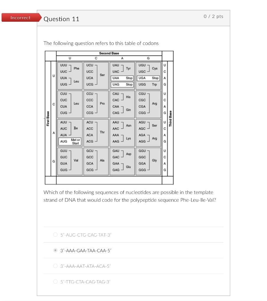 Solved The following question refers to this table of codons | Chegg.com