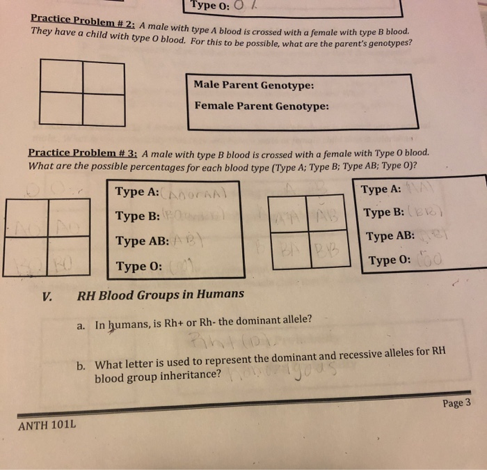 Solved VII. Punnett Square Practice (ABO Blood Groups) | Chegg.com