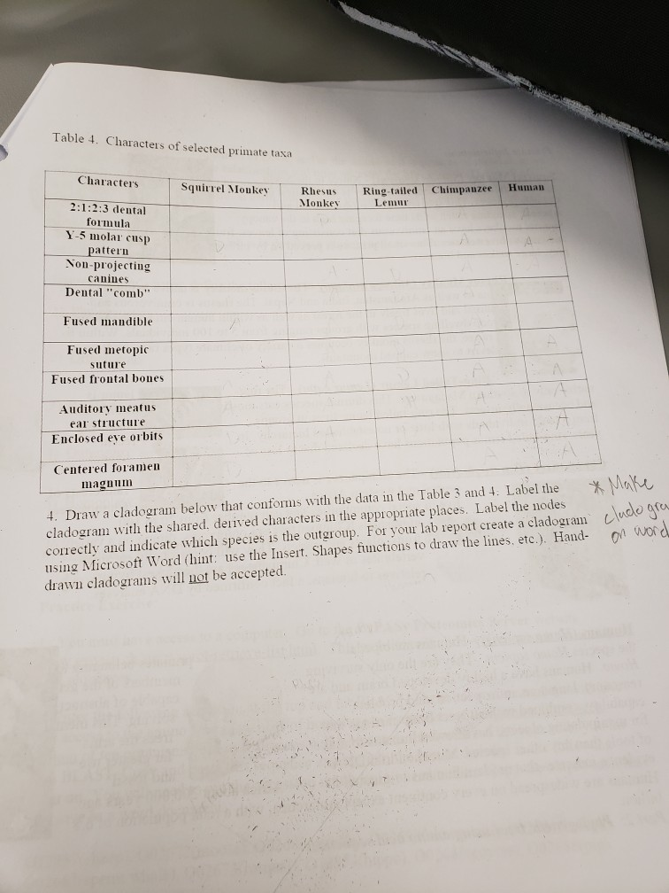 Solved Table 3. Characters of selected primate taxa. | Chegg.com