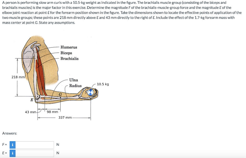 Solved A person is performing slow arm curls with a 10.5-kg | Chegg.com