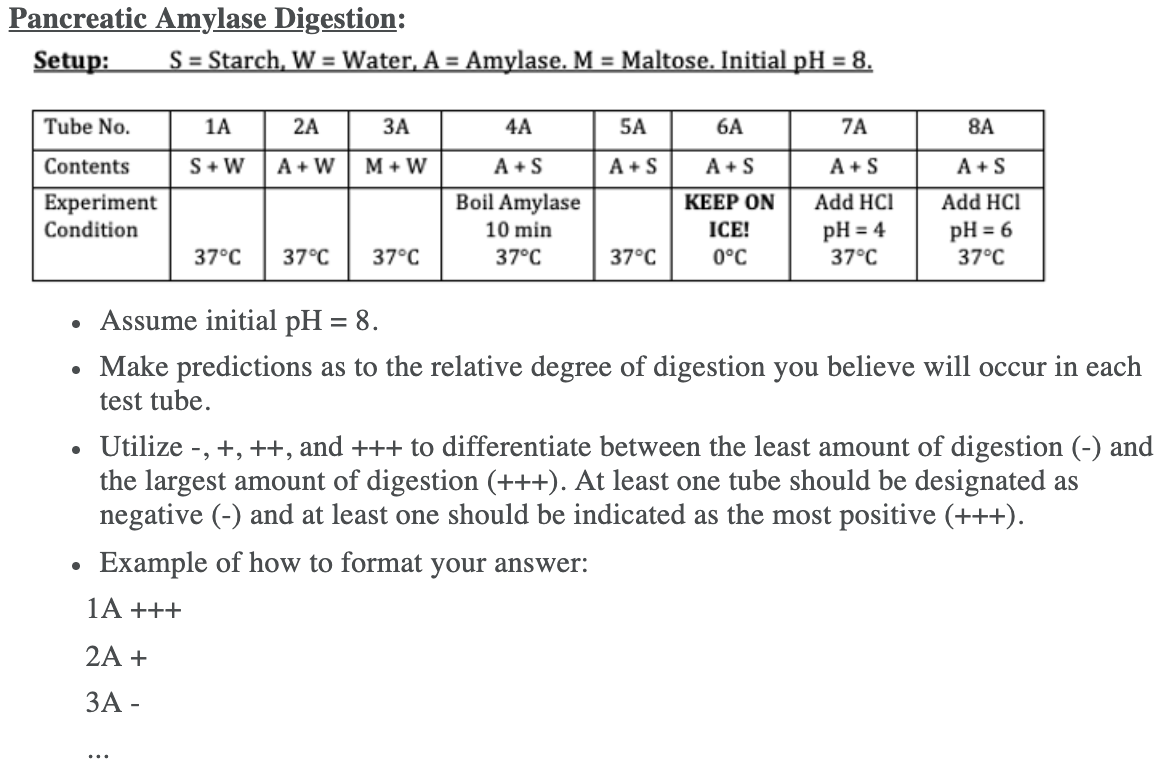 Solved Pancreatic Amylase Digestion: Setup: S = Starch, W = | Chegg.com