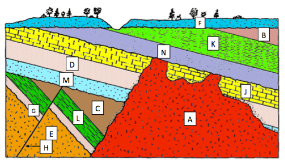 Solved Lab 9 Geologic Time If E And A In The Figure Above 