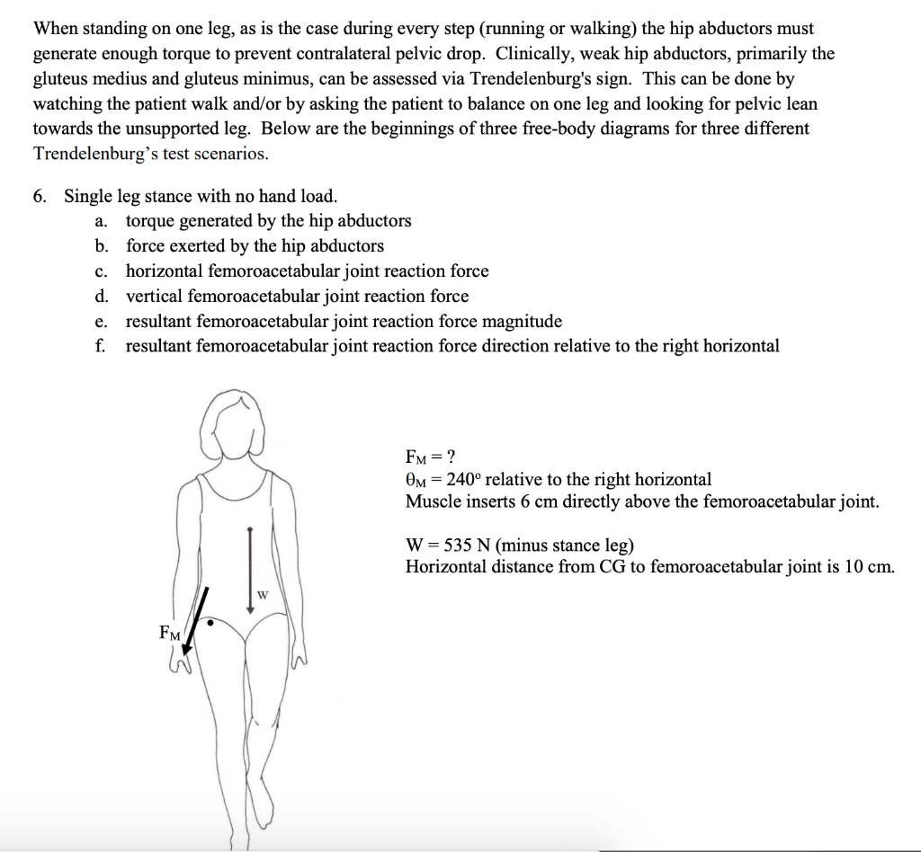 When standing on one leg, as is the case during every | Chegg.com