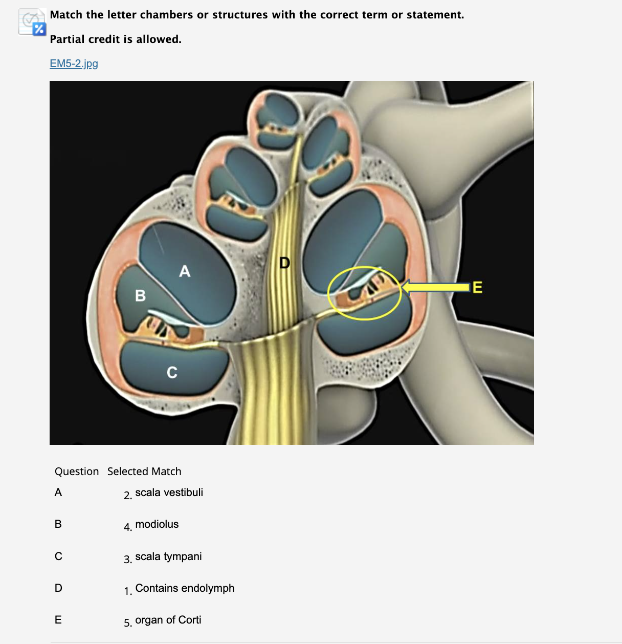 Solved Match the letter chambers or structures with the | Chegg.com