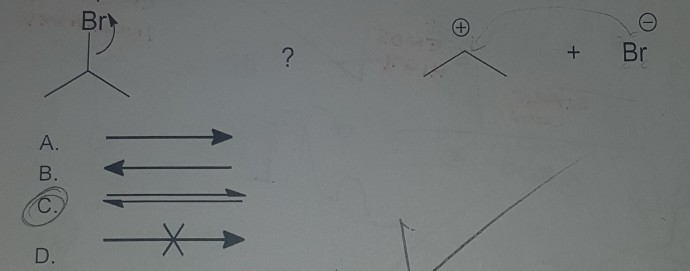 Solved What is the relationship between the two structures | Chegg.com