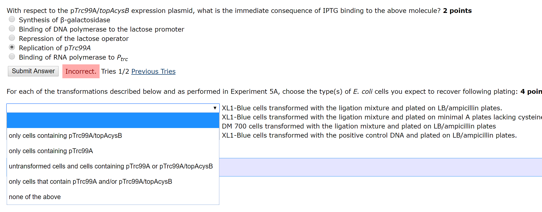 Solved With respect to the pTrc99A/topAcysB expression | Chegg.com