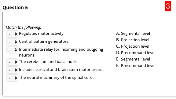 Solved Question5 Match the following: A. Segmental level B. | Chegg.com