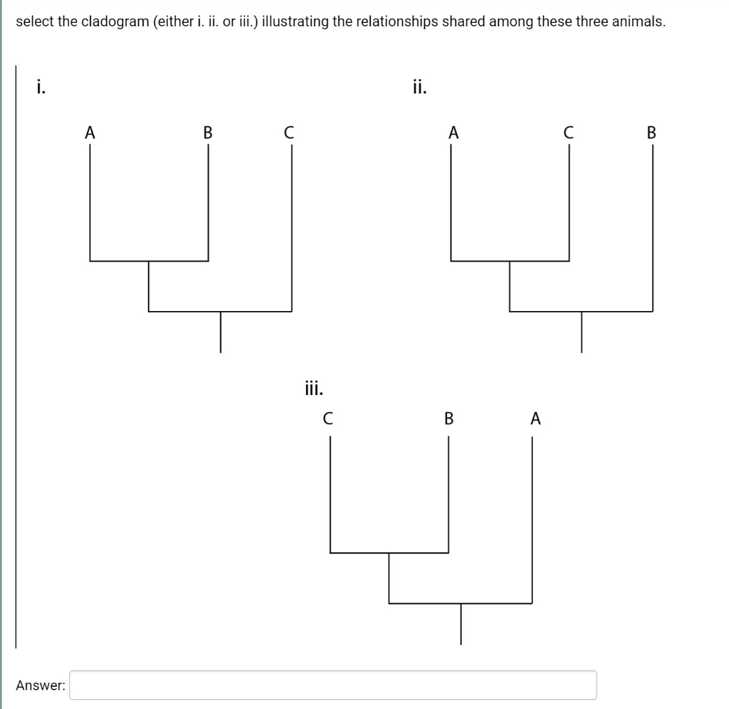 Solved Here you see three different gnathostomes. In | Chegg.com