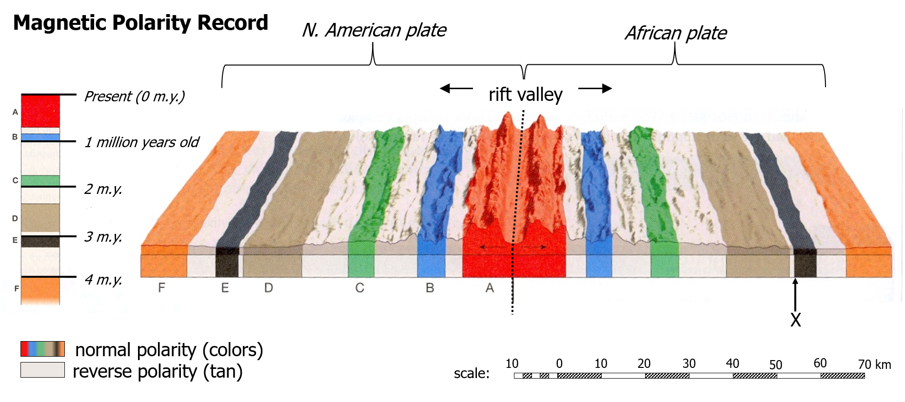 Solved 1. Seafloor Age The colored area in the map above | Chegg.com