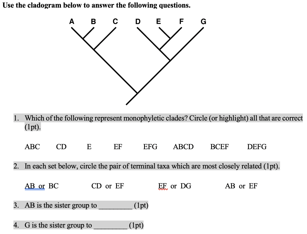 Solved Use the cladogram below to answer the following | Chegg.com