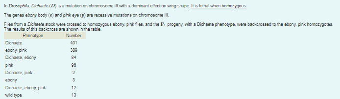 Solved In Drosophila. Dichaete (D) is a mutation on | Chegg.com
