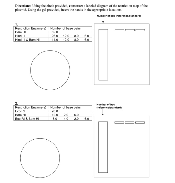 Solved Directions: Using the circle provided, construct a | Chegg.com
