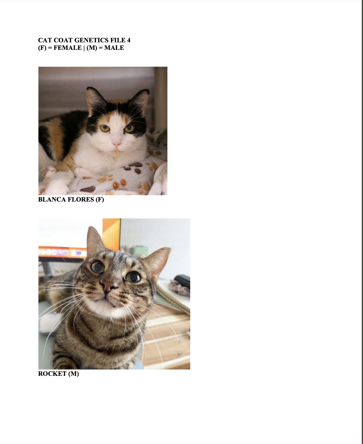 CAT COAT GENETICS FILE 4 (F) = FEMALE ∣(M)= MALEGAYLE | Chegg.com