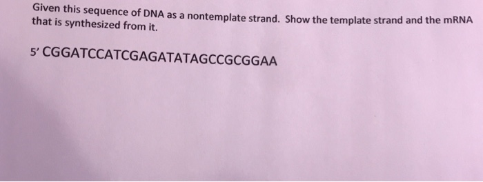 Solved Given this sequence of DNA as a nontemplate strand. | Chegg.com