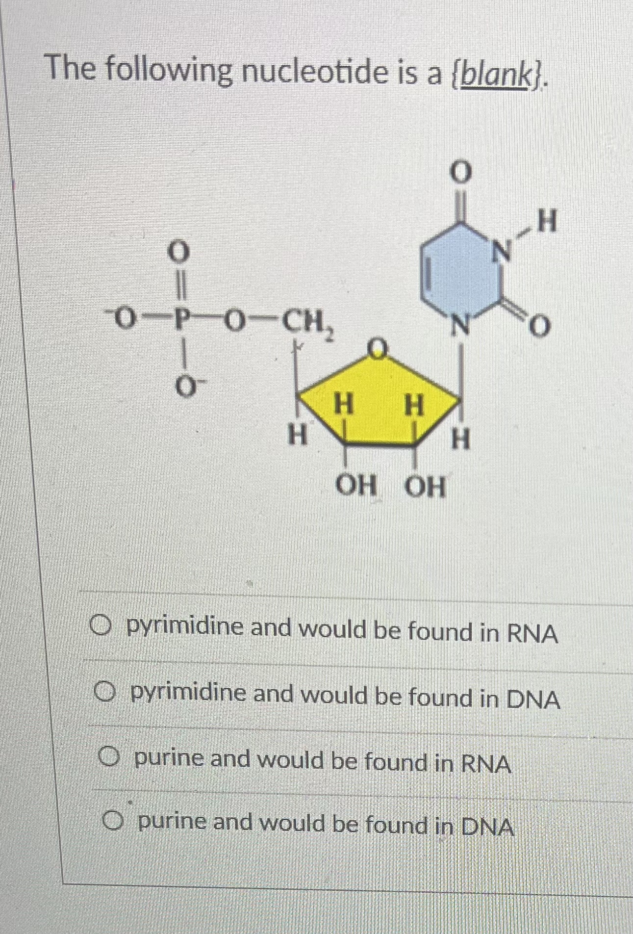 Solved The following nucleotide is a \{blank\}. pyrimidine | Chegg.com