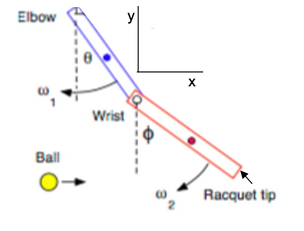Analysis of the angular kinematics of a double | Chegg.com