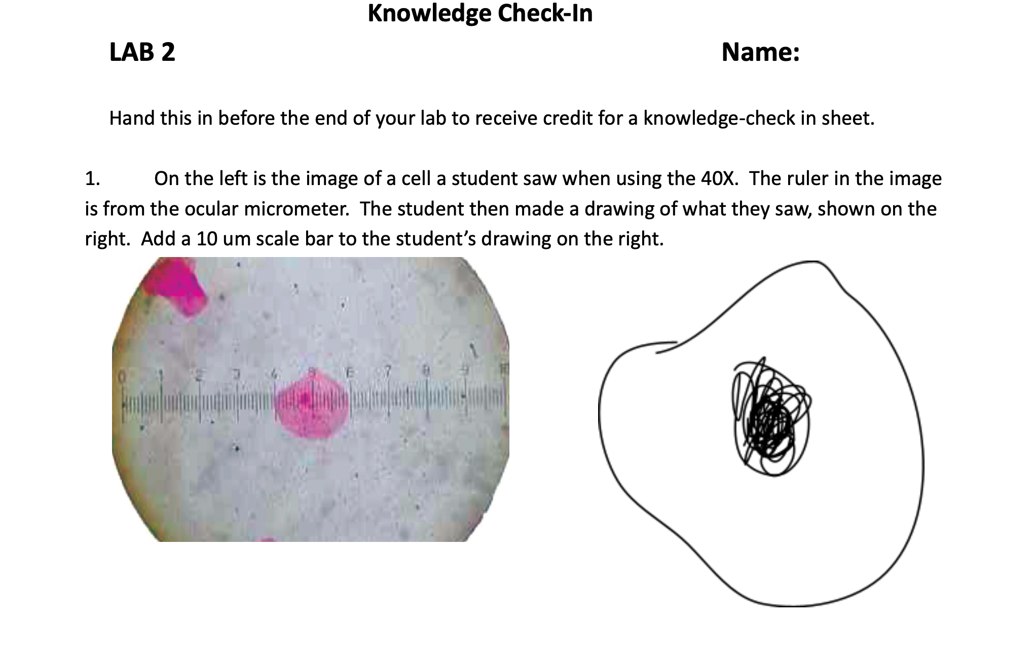 Solved LAB 2Name:Hand this in before the end of your lab to | Chegg.com