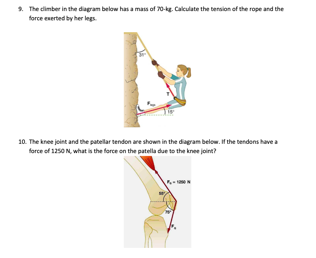 Solved 9. The climber in the diagram below has a mass of | Chegg.com