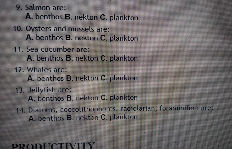 Nekton Plankton Benthos