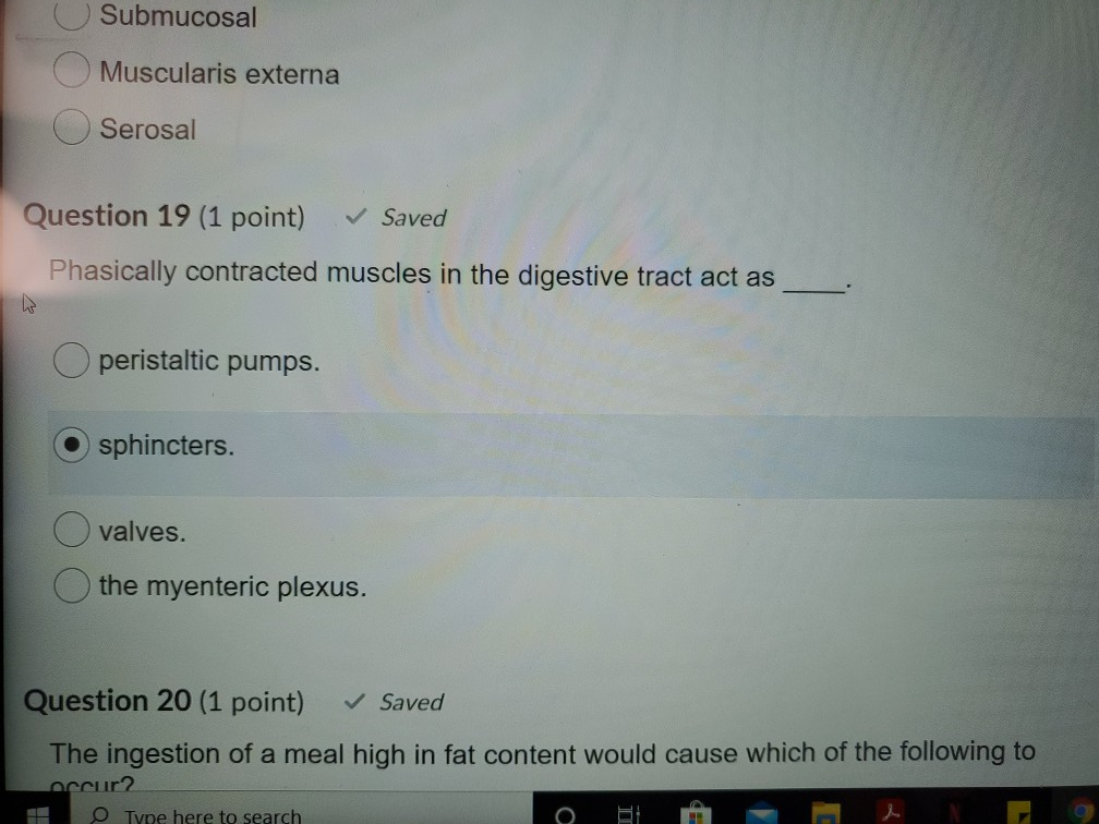 Solved Submucosal Muscularis externa Serosal Question 19 (1 | Chegg.com