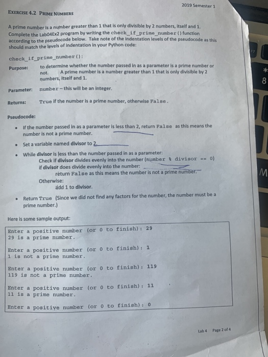 Solved 2019 Semester 1 EXERCISE 4.2 PRIME NUMBERS A prime | Chegg.com