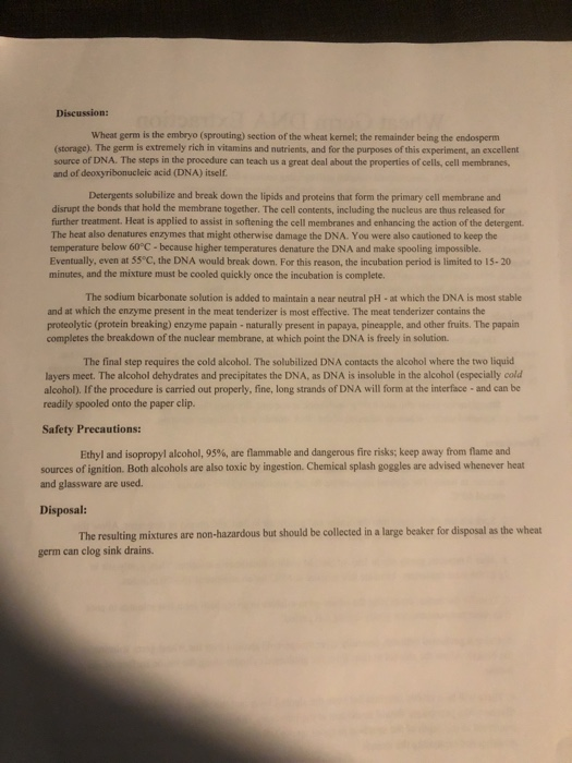 Solved 40 DNA Extraction Lab Microbiology 1 Post lab | Chegg.com