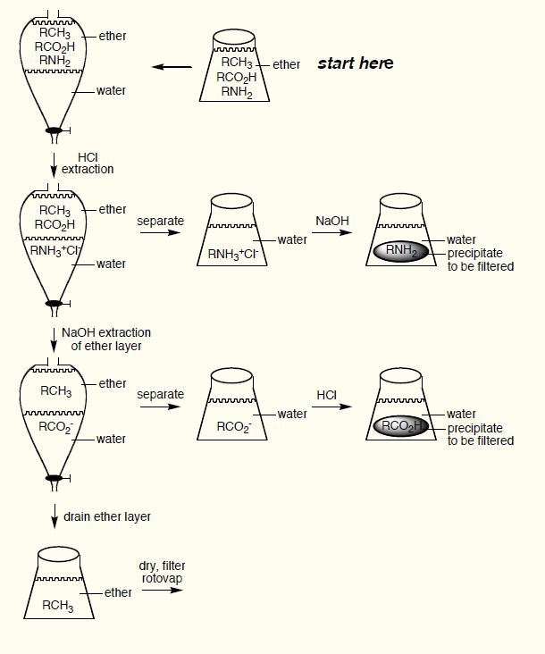 Solved Topic: Organic Chemistry Introduction: Assume you are | Chegg.com