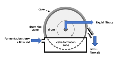 A fermentation slurry containing Bacillus | Chegg.com