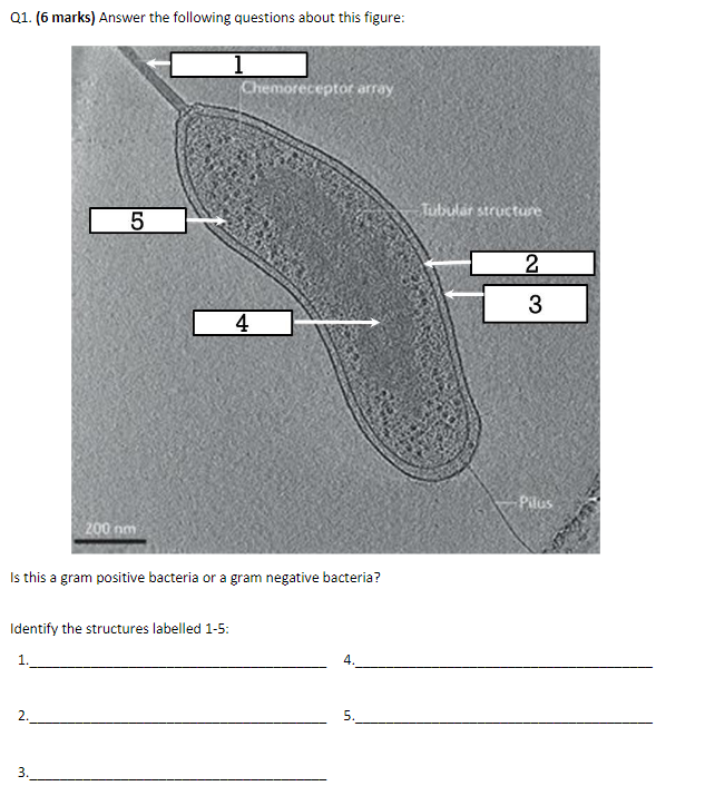 Solved Q1. (6 marks) Answer the following questions about | Chegg.com