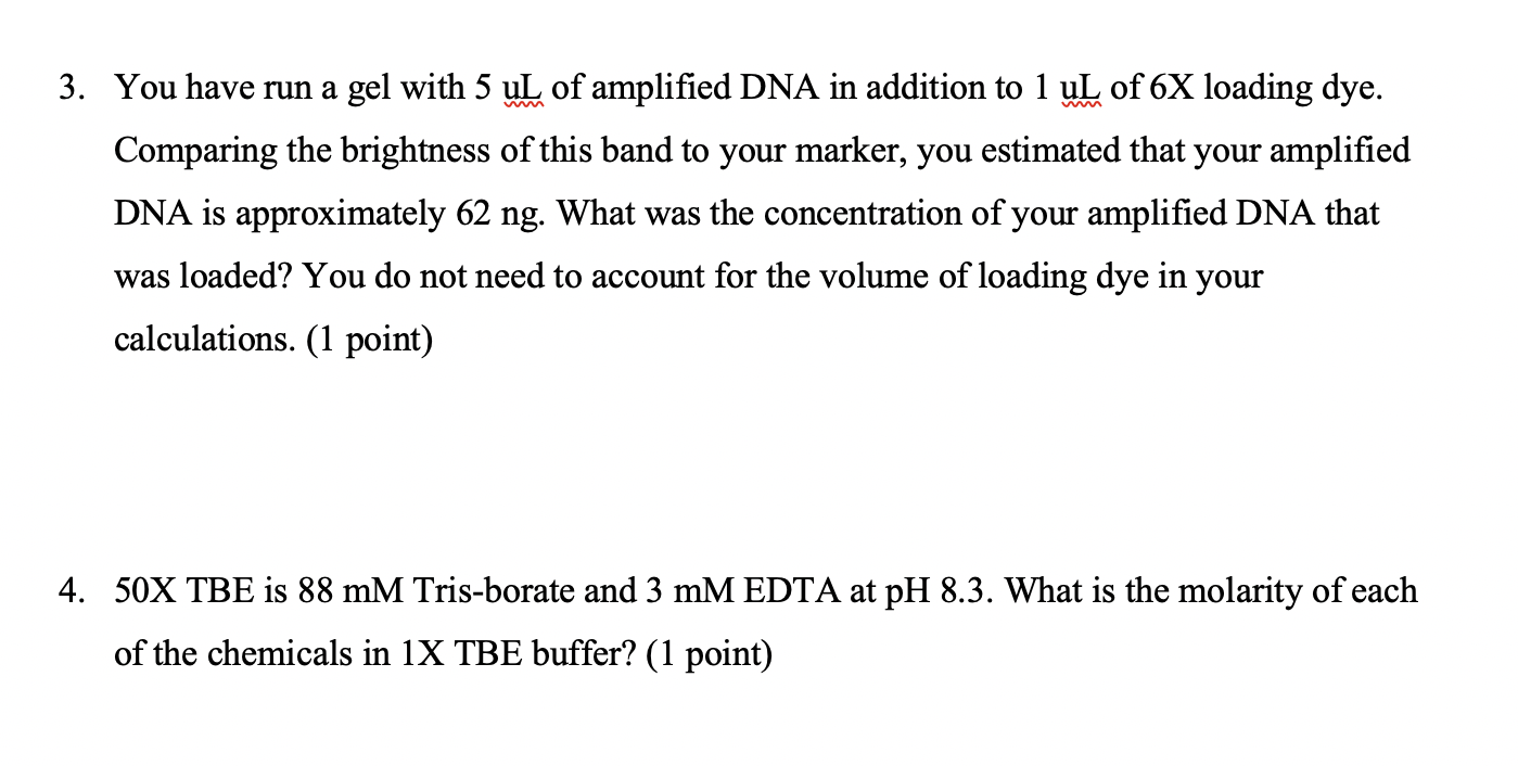 Solved 3. You have run a gel with 5 uL of amplified DNA in | Chegg.com