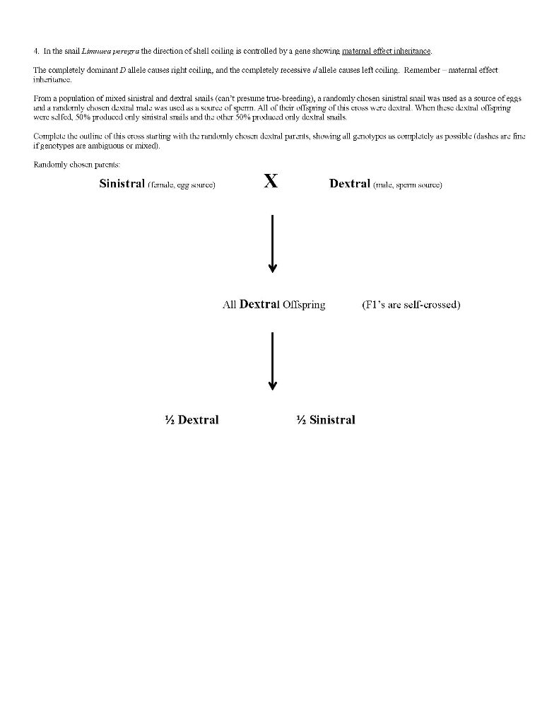 Solved 4. In the snail Linueu peregru the direction of shell | Chegg.com