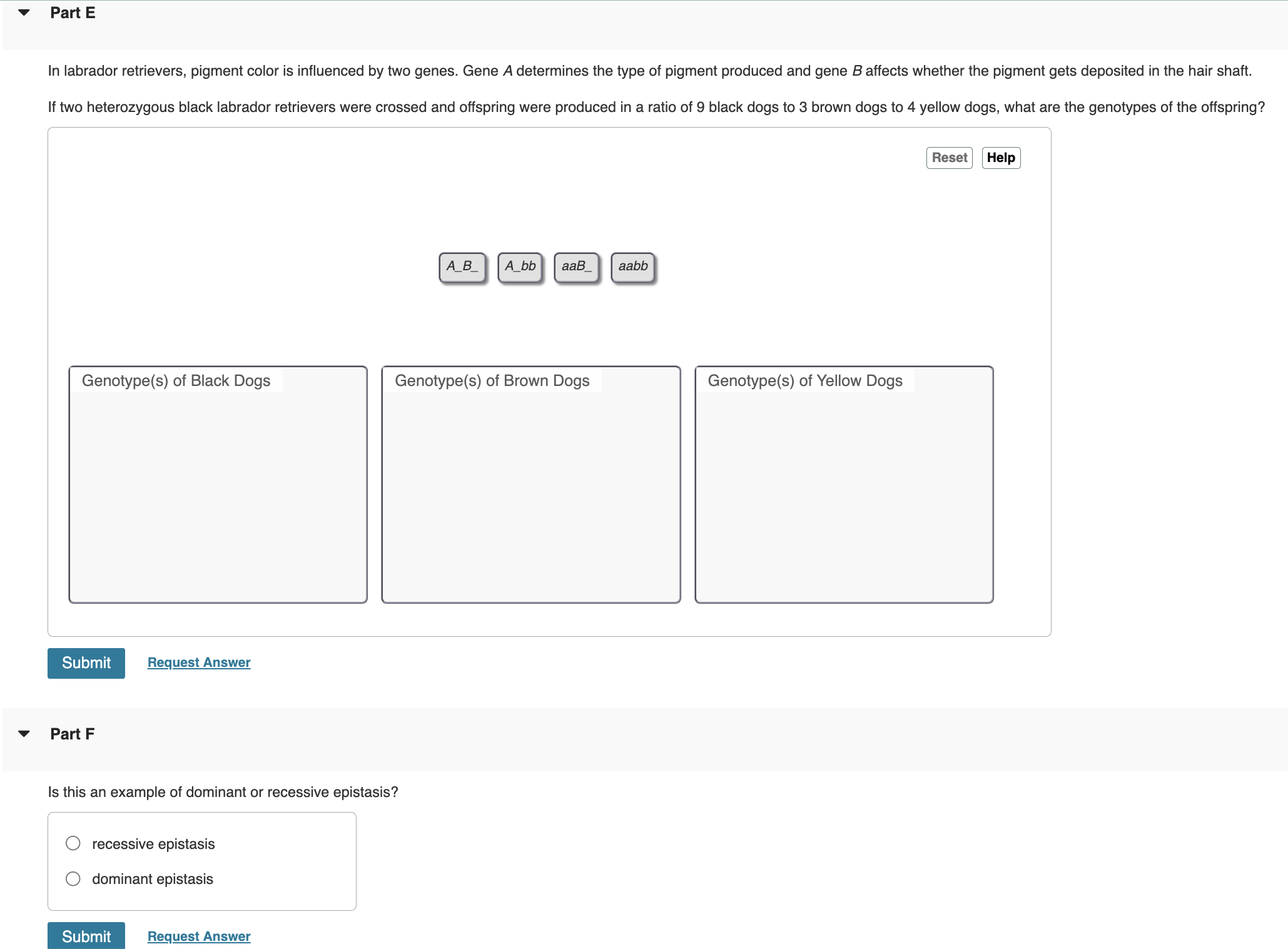 Solved Epistasis is the interaction between genes such that | Chegg.com