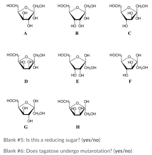 Solved The structure of one of the enantiomers of tagatose | Chegg.com