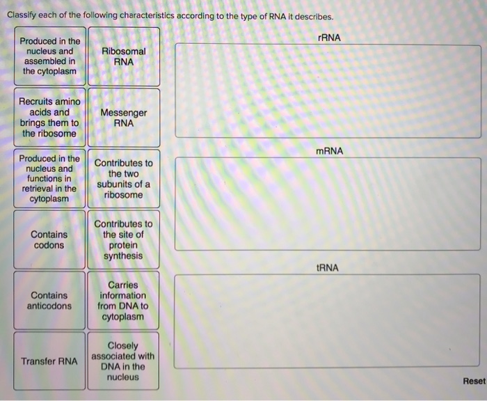 Solved Classify Each Of The Following Characteristics 